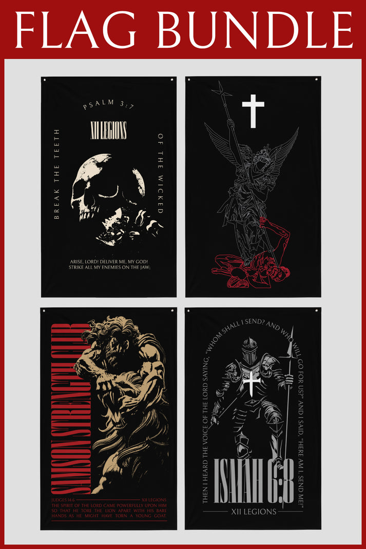 THE WAR STANDARD SET – XII LEGIONS